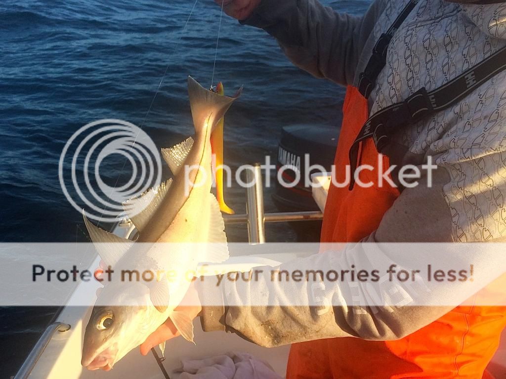 Day on the Haddock then out to the deeps... | World Sea Fishing Forums